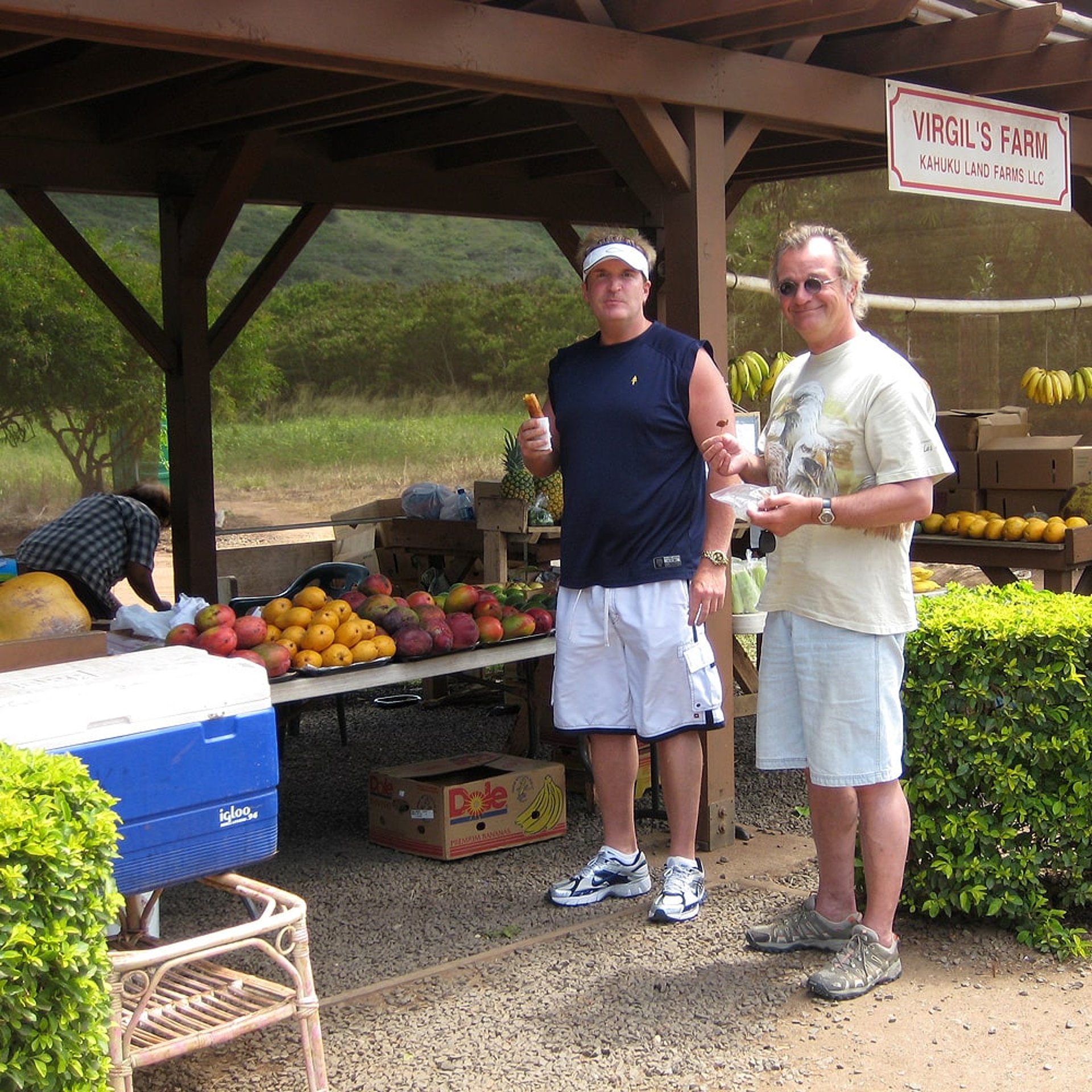 Polynesian Cultural Center: Hulatanz